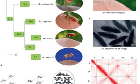 All Of The Following Are Steps In Derivative Classification Except Uncover The Missing Piece