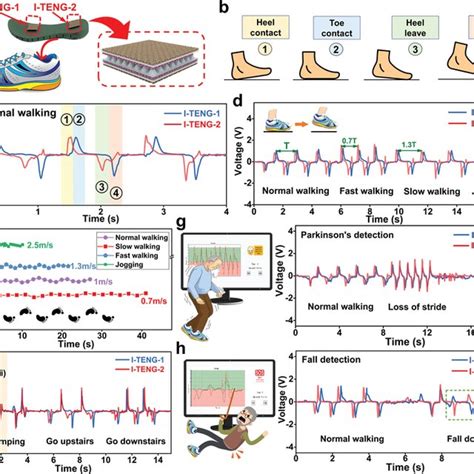 Schematics Of The Aiot‐based Smart Healthcare A Wearable Electronics Download Scientific