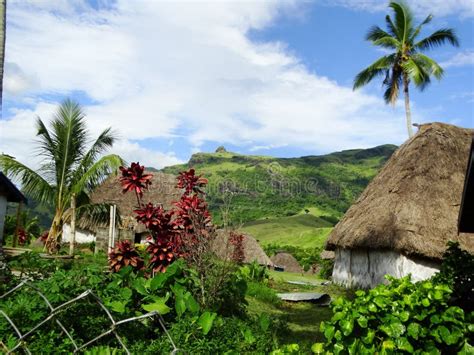 Fiji Traditional Houses Bure At The Navala Village Stock Image