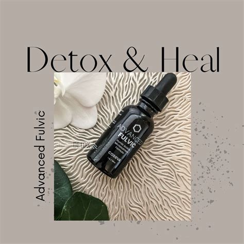 The 1 Natural And Effective Cognitive Support Supplement