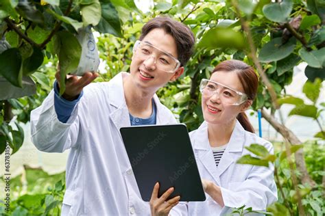 Foto De 한국 의료 메디컬 태블릿피씨를 들고 농촌 농장에서 농작물 배 상태를 체크하고 있는 젊은남자와 젊은여자 연구원 모습 Do Stock Adobe Stock