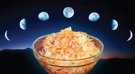 კონსერვების მოსახუფად როდის არის შესაბამისი მთვარე ნახეთ დღეების მიხედვით გაწერილი დეტალური