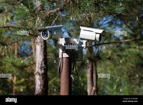 Two Security CCTV Cameras In Front Of Pine Trees Stock Photo Alamy