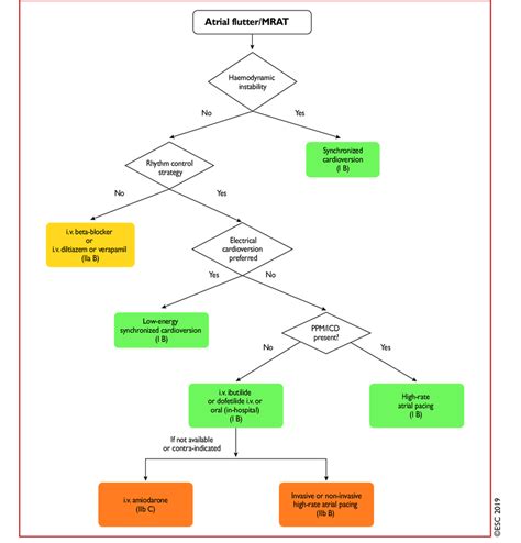 Acute Therapy Of Stable Atrial Flutter Or Macro Re Entrant Atrial Download Scientific Diagram