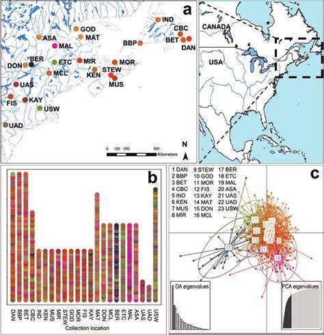 A Geographical Location With Genetic Constitution Colour For The Download Scientific