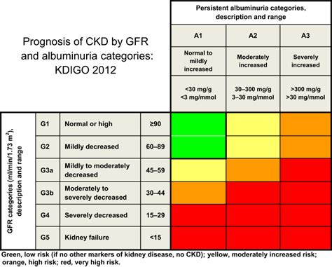 Kdigo 2018 Clinical Practice Guideline For The Prevention Diagnosis Evaluation And Treatment