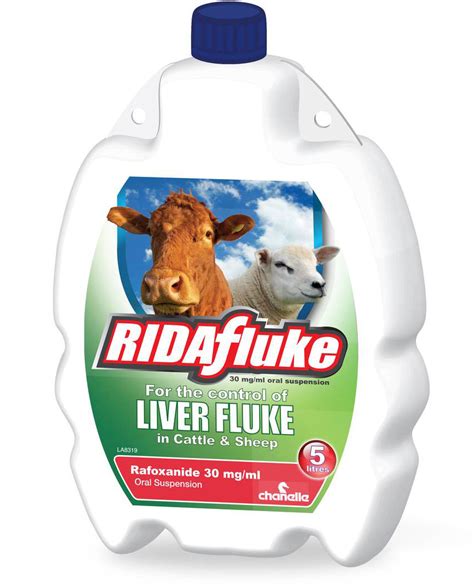 Liver Fluke Diseases And Solutions Farm Health First