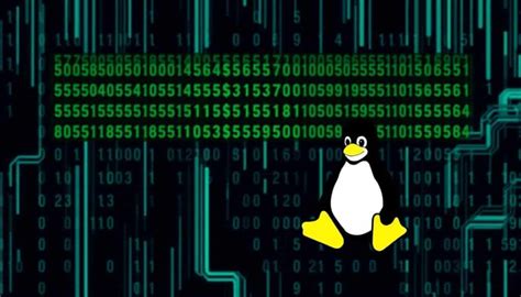 Pydash Monitoriza El Rendimiento De Tus Servidores Linux Con Esta