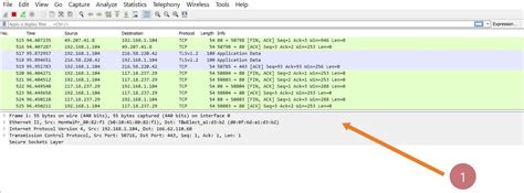 Network Protocol Analyzer Wireshark