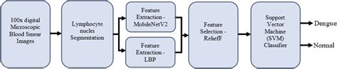 Proposed Dengue Detection System Download Scientific Diagram