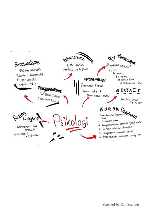 Pdf Sap Mind Mapping