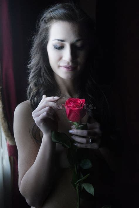 Sensual And Romantic Girl Is Guessing On A Rose In The Semi Darkness Of Sensual And Romantic Girl Is Guessing On A Rose In The Semi Darkness Of