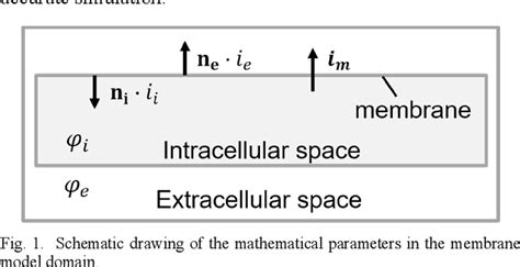 Figure 1 From A Measuring Neuronal Signals With Microelectrode Arrays A Finite Element Analysis