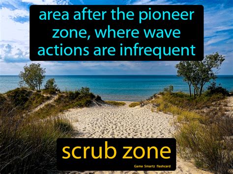 Scrub Zone Definition And Image Gradesup Gg