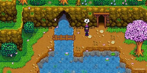 Pelican Town Mines Overview For Stardew Valley