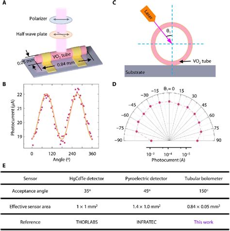 Polarization And Omnidirectional Detection Characteristics Of 3d