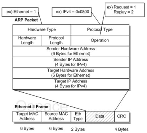 Network ARP Address Resolution Protocol Brain Backup