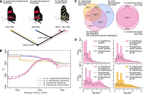 A Butterfly Pan Genome Reveals That A Large Amount Of Structural