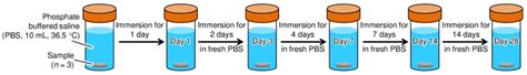 Schematic Diagram Of Cu Ion Release Assay Pbs Phosphate Buffered