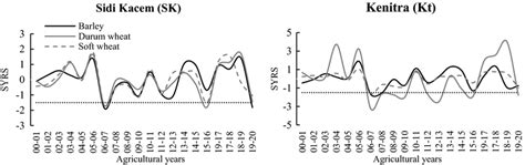 Temporal Evolution Of The Syrs For Soft Wheat Yield Durum Wheat Yield Download Scientific