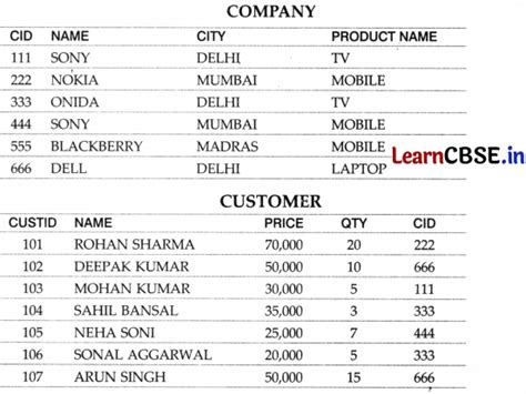 cbse sample papers for class 12 informatics practices set 7 with