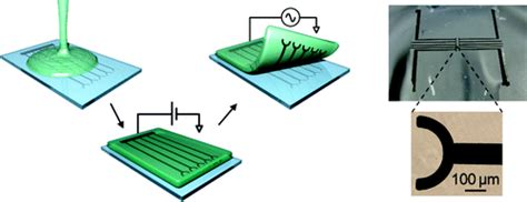 Conducting Polymer Electrodes Printed On Hydrogel Miyake Research Group