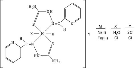 The Suggested Molecular Structure Of The Complexes Download