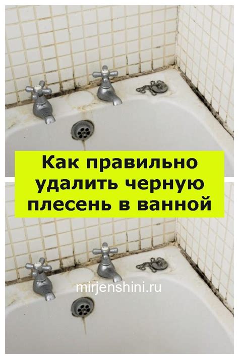 Как правильно удалить черную плесень в ванной