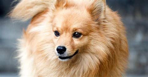 Best Fastest Wordpress Hosting 13 Expert Answers Unveiled