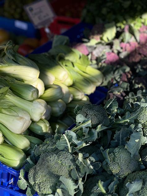 간 건강식품 경작 나뭇잎 녹색 농업 농작물 맑은 날 봄 성장 브라 시카 브라 시카 올레 라 세아 브로콜리 셀렉티브 포커스 수직 쐈어 스리나가르