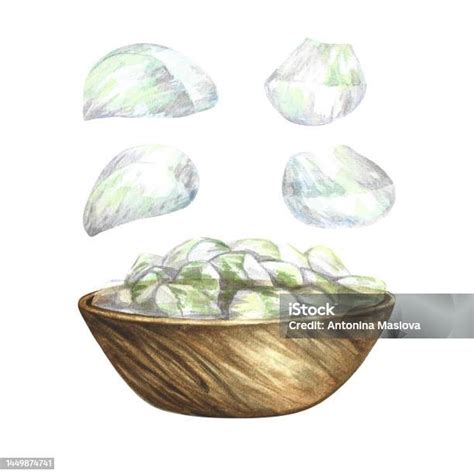 껍질을 벗기고 잘게 썬 알로에 베라를 나무 그릇에 담았습니다 수채화 그림입니다 화장품의 라벨 및 포장용 가시에 대한 스톡 벡터 아트 및 기타 이미지 Istock