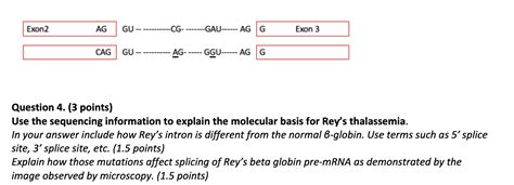 Solved The Hybridization Experiment Showed 2 Defects 1