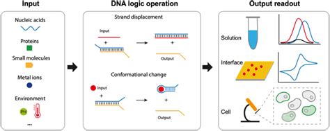 Biosensors Based On Dna Logic Gates Dlg Dlg Biosensors Generally Download Scientific Diagram