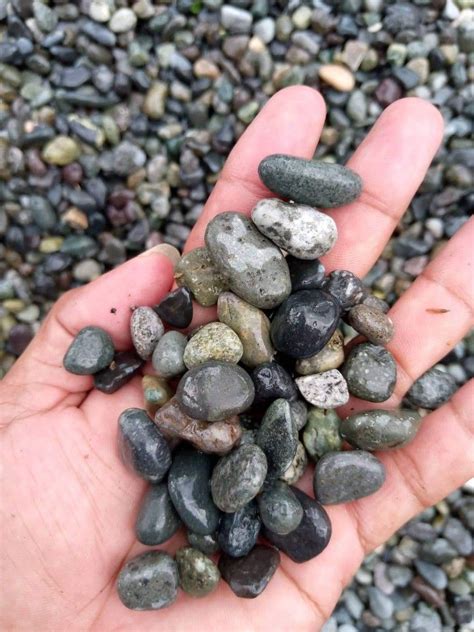 Pebbles Furniture Home Living Gardening Gardening Tools Ornaments On Carousell