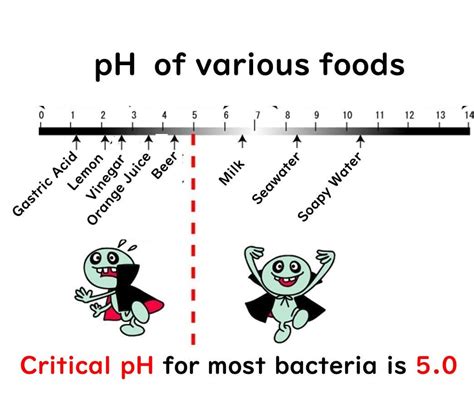 How Ph Influences Microbial Growth And Organic Acids As Antimicrobials Introduction To Food