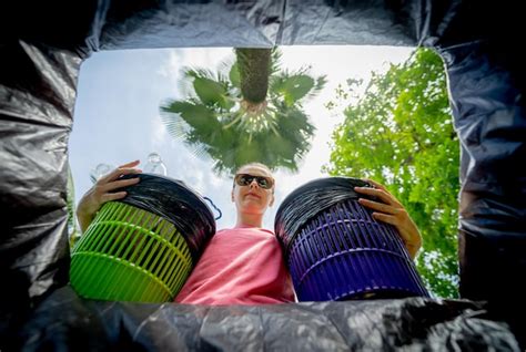 Premium Photo A Young Beautiful Girl Throws Sorted Garbage Into Special Bins