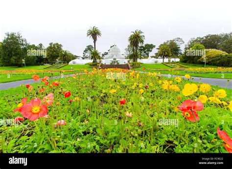 The Garden Of The Conservatory Of Flowers In San Francisco California