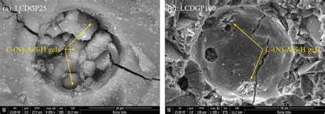 Morphologies Of Pores In The Alkali Activated Materials A Lcdgp25 Download Scientific