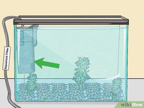 Ways To Clean Algae WikiHow