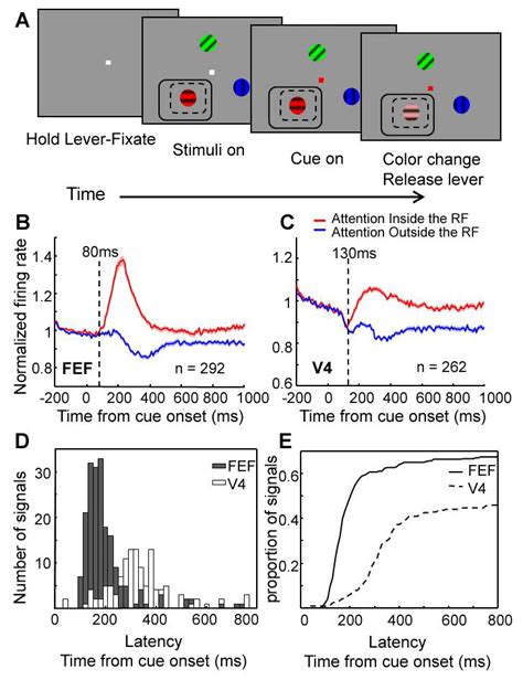 High Frequency Long Range Coupling Between Prefrontal And Visual Cortex During Attention Pmc