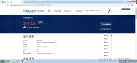 作业三 使用病毒分析工具对病毒进行分析 csdn博客