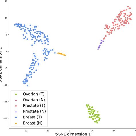 The T Sne Analysis Using The 12 Dimensional Latent Representation From Download Scientific