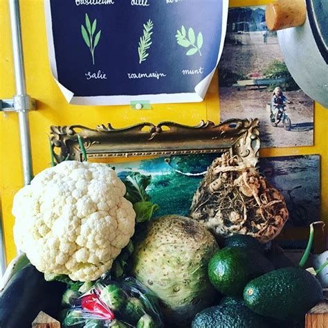 Stocking Up On Vitamins Winter Is Comming Munt Salie