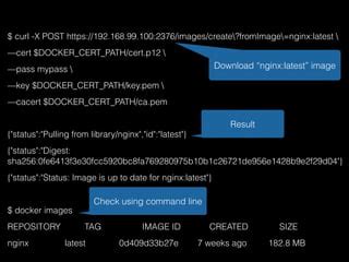 Docker Remote Api PDF