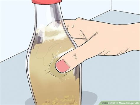 Ways To Make Ginger Ale Wikihow