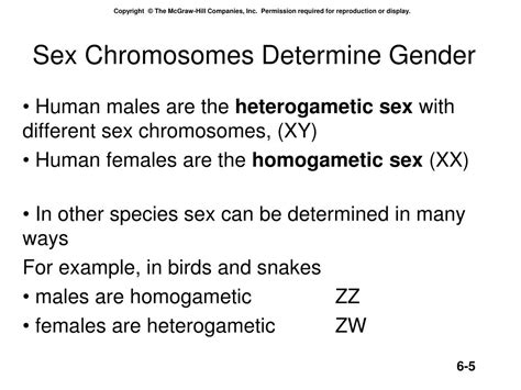Ppt Human Genetics Powerpoint Presentation Free Download Id