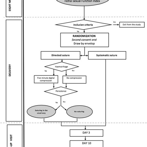 Flow Chart D Th Day Postpartum FSFI Female Sexual Functional Download Scientific