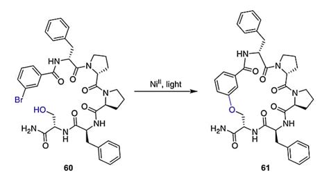 Peptide Macrocyclization Strategies Macro Cyclic Peptides Qyaobio