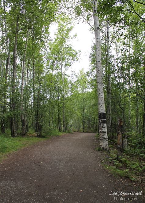 The Trail Curves By LadySnowAngel Society6 LadySnowAngel Photography