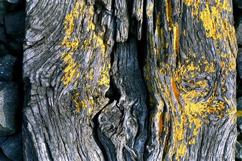 Naughty Abstract Free Photo On Pixabay Pixabay